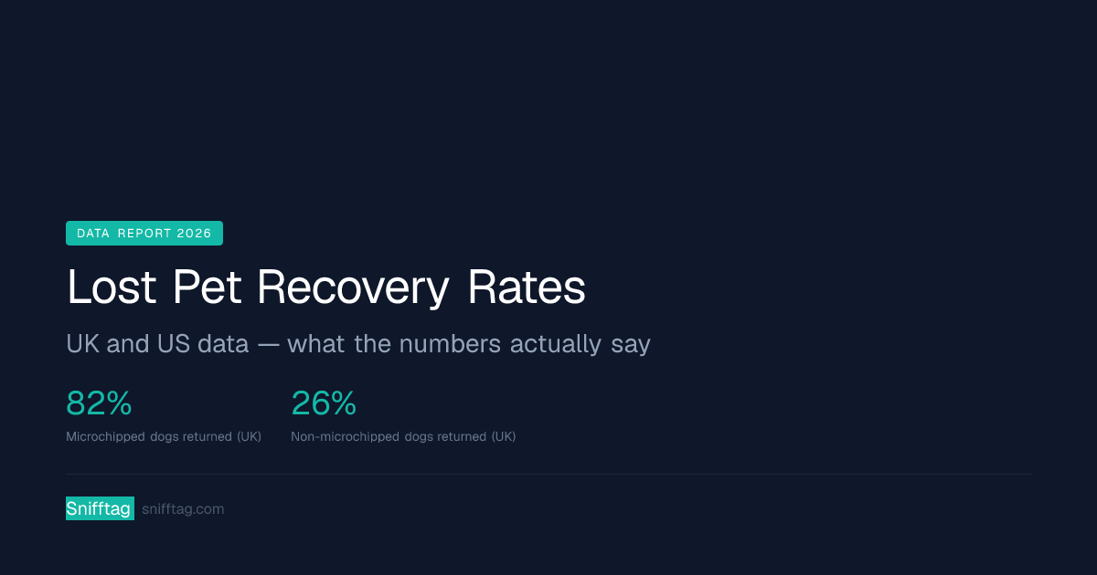 Lost Pet Recovery Rates in the UK and US: 2026 Data | Snifftag